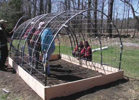 Quick and easy cattle panel hoola-hoop house | BackYardHerds - Goats ...