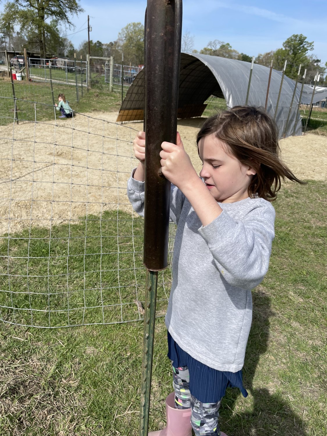 Baymule’s Journal | Page 356 | BackYardHerds - Goats, Horses, Sheep ...